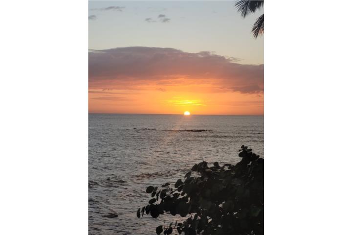 Bo. Caguabo, Barrio-Calvache Alquiler Bienes Raíces, Casa en Rincón ...