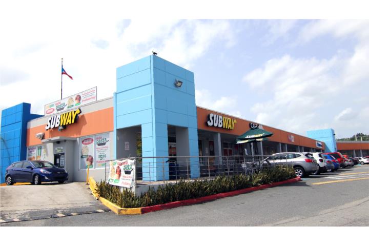 Alquiler Bienes Raices Comercial,Zona Comercial-Fajardo Shopping Center ...