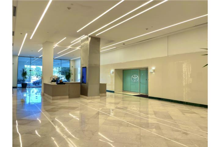 Alquiler Bienes Raices Comercial,Sector-Hato Rey, 654 Plaza, San Juan ...