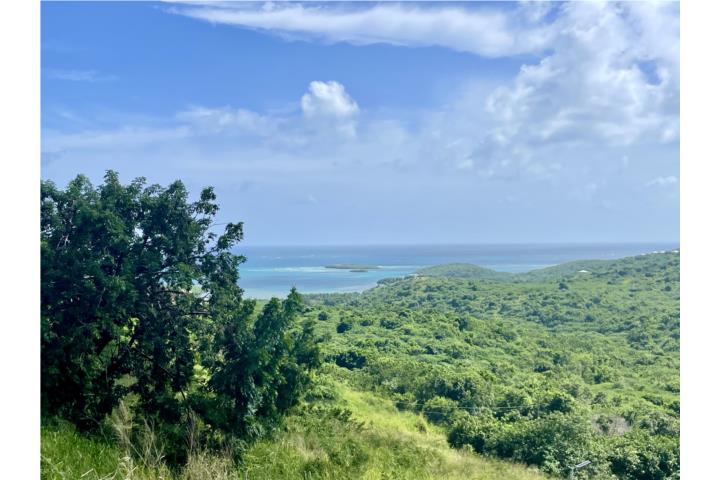 CULEBRA - 2/2 4 acres Off the Grid House, Barrio-Frailes Alquiler ...
