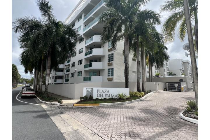 Plaza del Palmar/ Generador FULL/ Junio 1ero , Condominio-Plaza Del ...