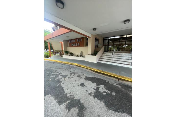 Alquiler Bienes Raices Comercial,Condominio-Hato Rey Plaza, HATO REY ...