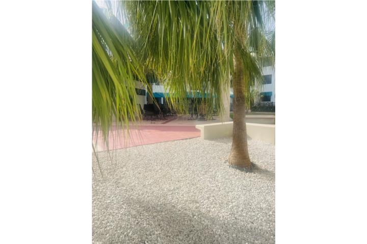 Paseo del Rey -PRIMER NIVEL, Condominio-Paseo Del Rey Alquiler Bienes ...