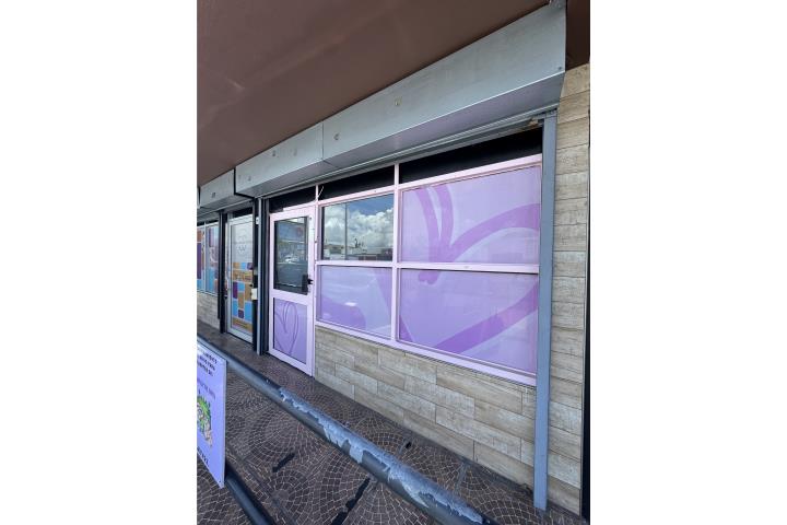 Alquiler Bienes Raices Comercial,Urbanizacion-Campo Rico, Local ...