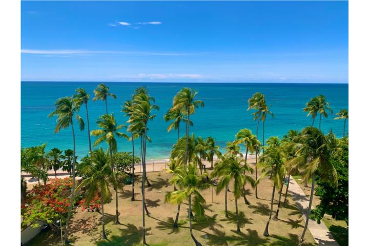 Park Boulevard, 1 bdr ocean view, Condominio-Park Boulevard Alquiler ...