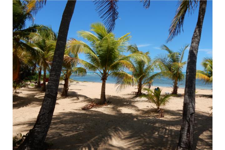 Punta Bandera Puerto Rico, Venta Bienes Raices Luquillo Puerto Rico ...