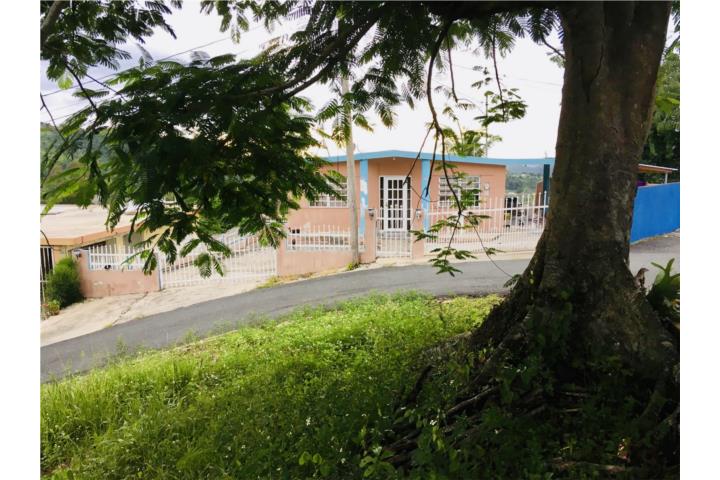 Padilla Puerto Rico, Venta Bienes Raíces Corozal Puerto Rico, Real ...