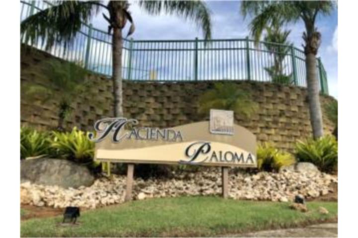 Hacienda Paloma Puerto Rico, Venta Bienes Raices Luquillo Puerto Rico ...