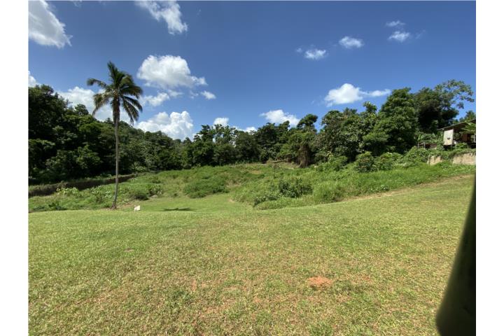 Caimito Alto Puerto Rico, Venta Bienes Raíces San Juan - Río Piedras ...