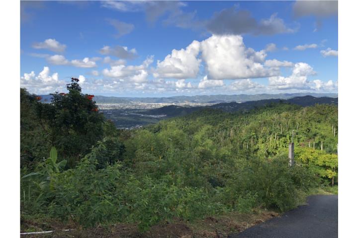 Borinquen Puerto Rico, Venta Bienes Raices Caguas Puerto Rico, Real ...