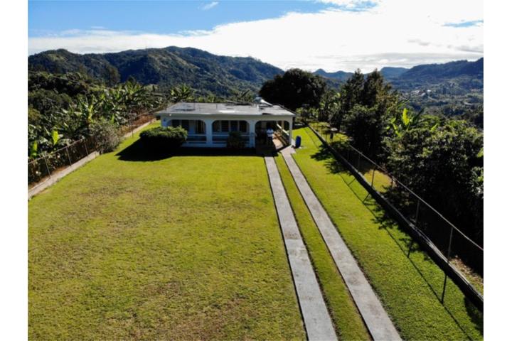 Portillo Puerto Rico, Venta Bienes Raíces Adjuntas Puerto Rico, Real ...