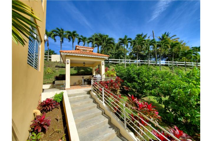 Hacienda Carabali Puerto Rico, Venta Bienes Raíces Luquillo Puerto Rico ...