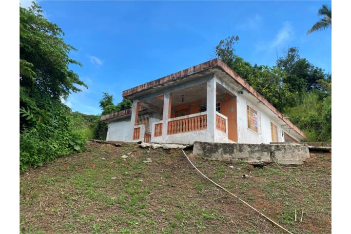 SOLD, Vendido Naranjo Puerto Rico, Venta Bienes Raíces Comerío Puerto ...