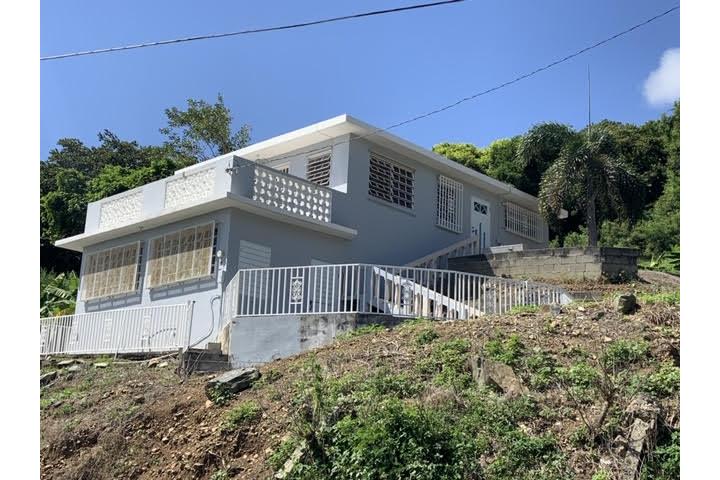 Guardarraya Puerto Rico, Venta Bienes Raíces Patillas Puerto Rico, Real ...