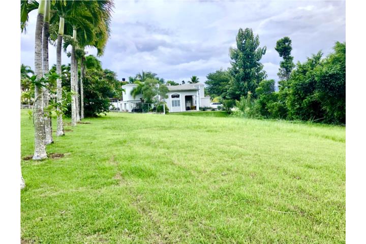 Pabon Puerto Rico, Venta Bienes Raíces Morovis Puerto Rico, Real Estate ...