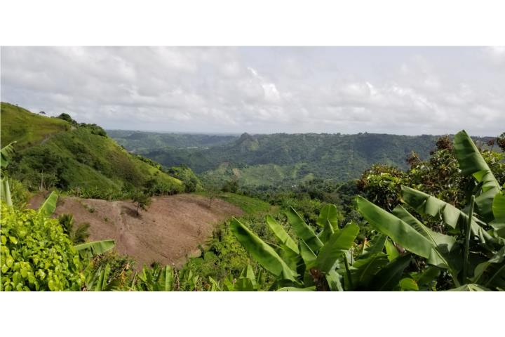 Bartolo Puerto Rico, Venta Bienes Raíces Lares Puerto Rico, Real Estate ...