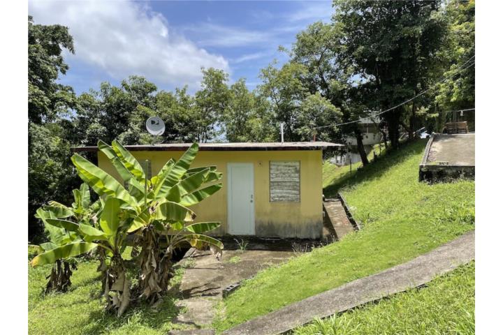 Quebrada Seca Puerto Rico, Venta Bienes Raíces Ceiba Puerto Rico, Real ...