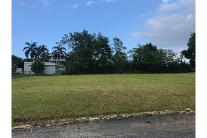 Robles Puerto Rico, Venta Bienes Raíces San Sebastián Puerto Rico, Real ...