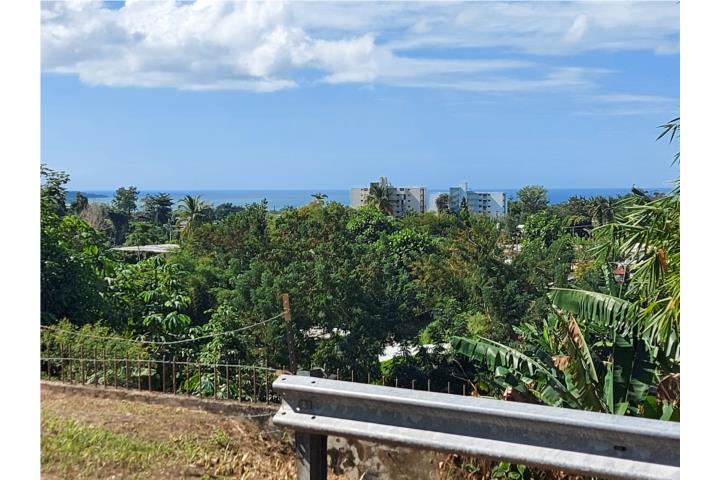 Miradero Puerto Rico, Venta Bienes Raíces Mayagüez Puerto Rico, Real ...