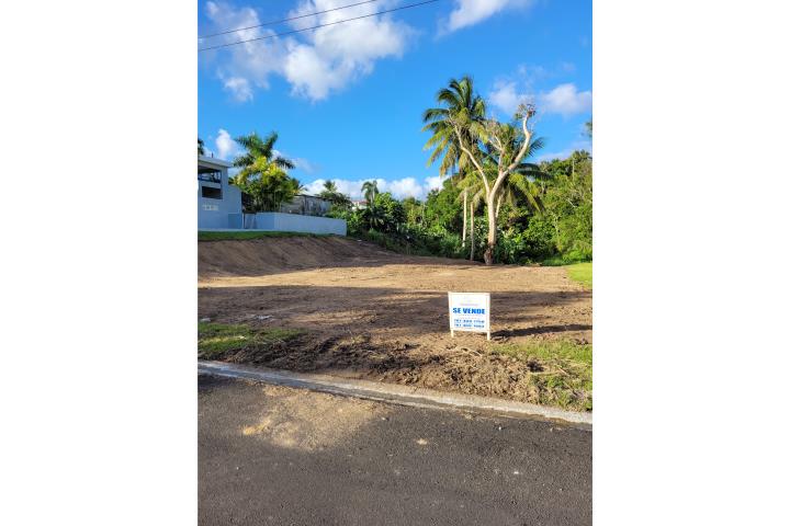 Fincas Bonitas Puerto Rico, Venta Bienes Raíces Juncos Puerto Rico ...