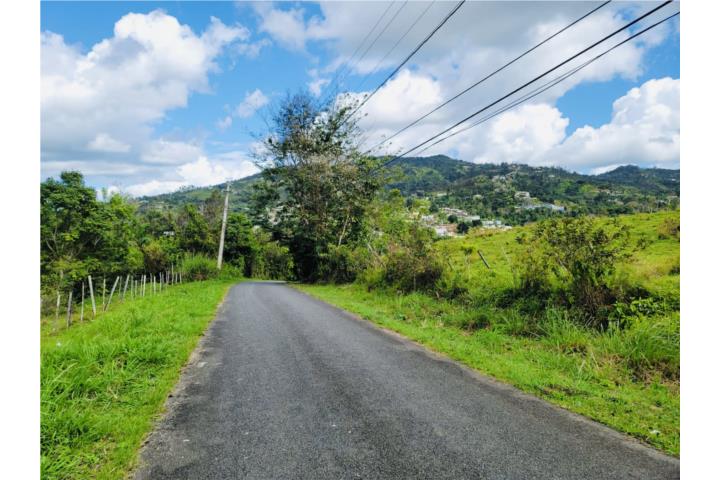 Cidra Puerto Rico, Venta Bienes Raíces Cidra Puerto Rico, Real Estate ...