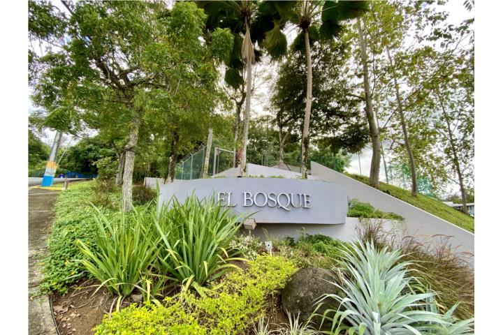 SOLD, Vendido El Bosque Puerto Rico, Venta Bienes Raíces Guaynabo ...
