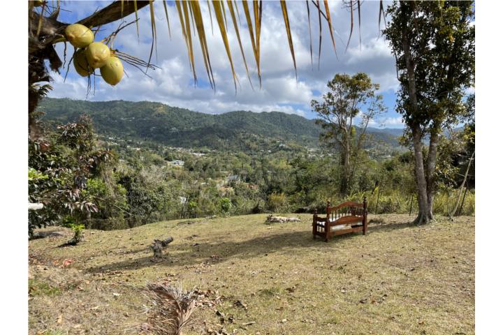 Guavate Puerto Rico, Venta Bienes Raíces Cayey Puerto Rico, Real Estate ...