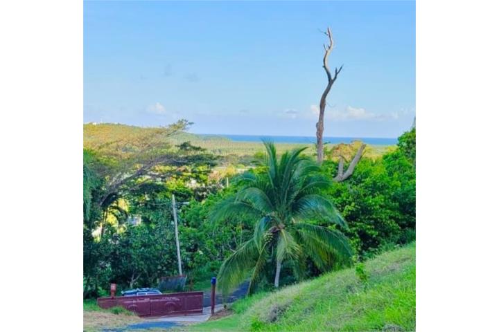 SOLD, Vendido Quebrada Seca Puerto Rico, Venta Bienes Raíces Ceiba ...