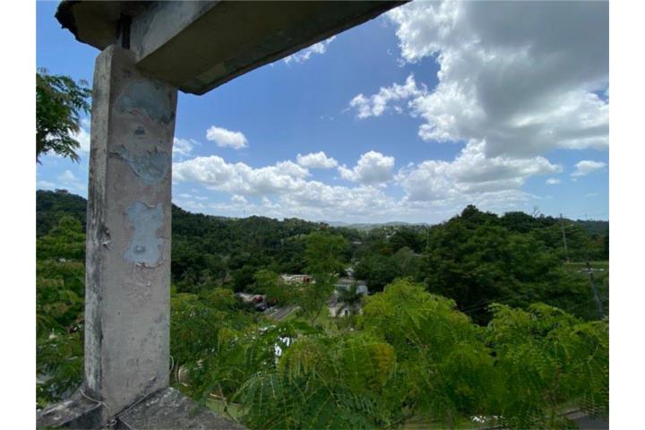 Caimito Bajo Puerto Rico, Venta Bienes Raíces San Juan Puerto Rico ...