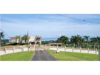 HQJ REAL ESTATE, LLC LIC. E-143 Puerto Rico, Bienes Raices HQJ REAL ...