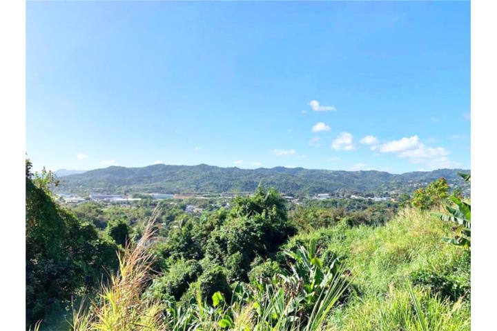 SOLD, Vendido Caimito Alto Puerto Rico, Venta Bienes Raíces San Juan ...