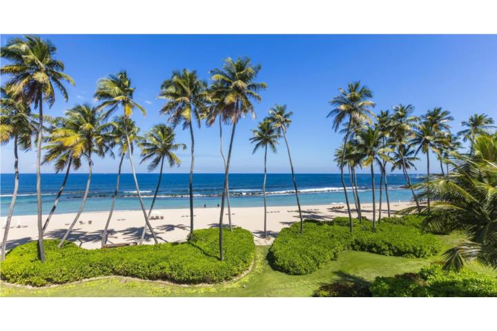Ritz-Carlton Reserve West Beach, Dorado Beach Puerto Rico, Venta Bienes ...