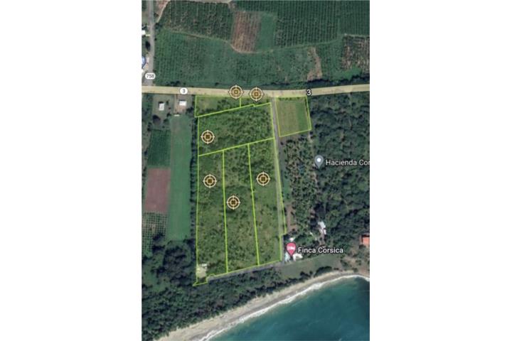 Guardarraya Puerto Rico, Venta Bienes Raíces Patillas Puerto Rico, Real ...