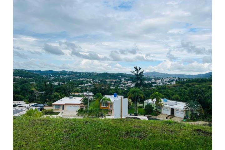 Colinas De Cayey Puerto Rico, Venta Bienes Raíces Cayey Puerto Rico ...