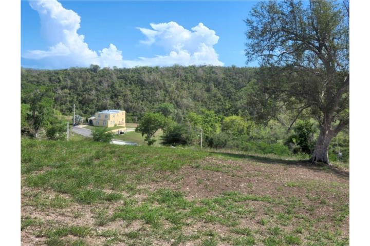 Altamira Puerto Rico, Venta Bienes Raíces Juana Díaz Puerto Rico, Real ...