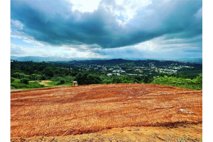 Las Piñas Puerto Rico, Venta Bienes Raíces Cayey Puerto Rico, Real ...