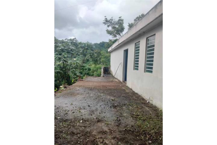 Marin Puerto Rico, Venta Bienes Raíces Patillas Puerto Rico, Real ...