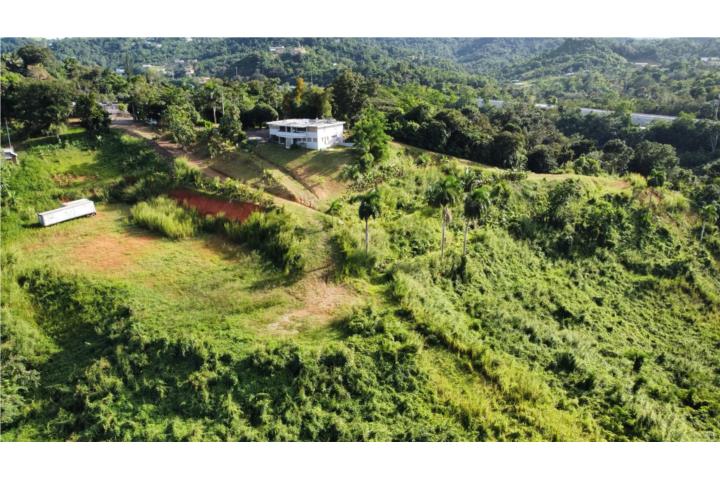 Cupey Alto Puerto Rico, Venta Bienes Raíces San Juan - Río Piedras ...