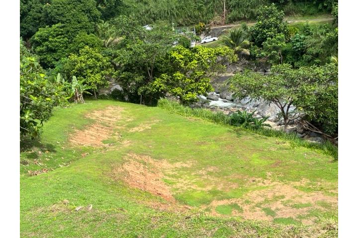 Lizas Puerto Rico, Venta Bienes Raíces Maunabo Puerto Rico, Real Estate ...