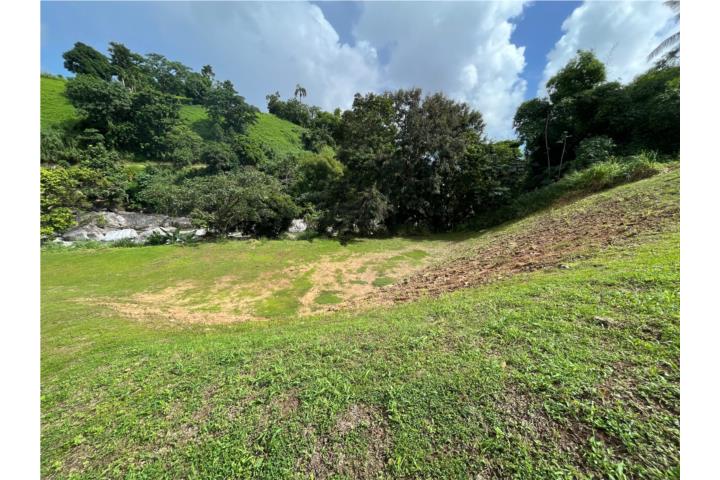 Lizas Puerto Rico, Venta Bienes Raíces Maunabo Puerto Rico, Real Estate ...
