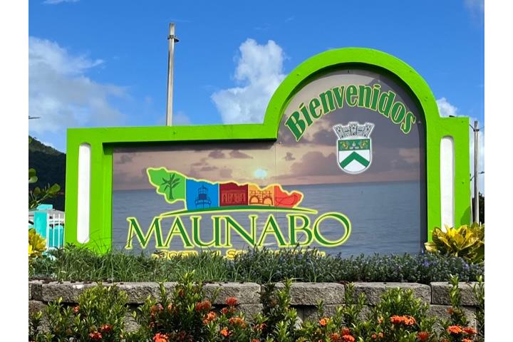 Lizas Puerto Rico, Venta Bienes Raíces Maunabo Puerto Rico, Real Estate ...