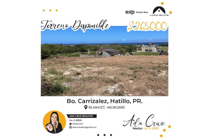 Carrizales Puerto Rico, Venta Bienes Raíces Hatillo Puerto Rico, Real ...