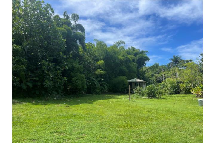 Rio Grande Puerto Rico, Venta Bienes Raíces Rincón Puerto Rico, Real ...
