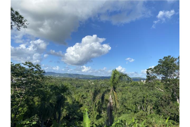 Campo Rico Puerto Rico, Venta Bienes Raíces Mayagüez Puerto Rico, Real ...