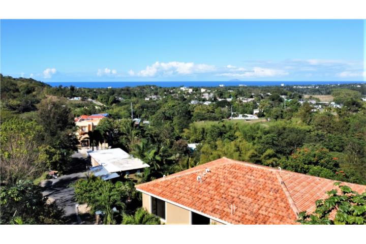 Calvache Puerto Rico, Venta Bienes Raíces Rincón Puerto Rico, Real ...
