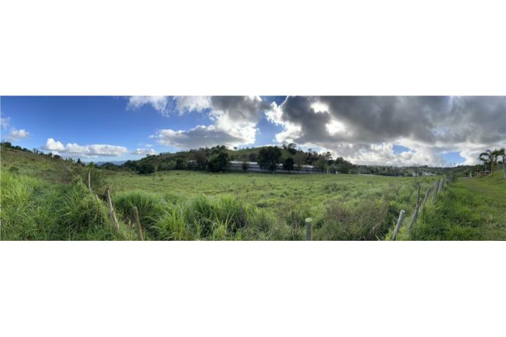 Paloma Puerto Rico, Venta Bienes Raíces Comerío Puerto Rico, Real ...