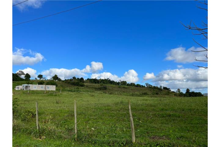 Paloma Puerto Rico, Venta Bienes Raíces Comerío Puerto Rico, Real ...