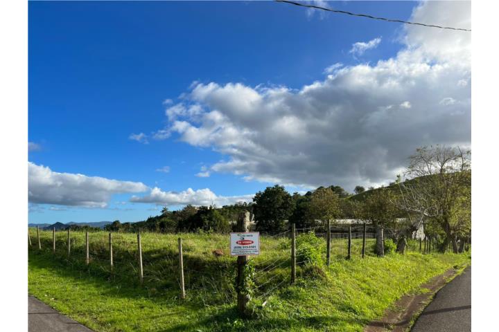 Paloma Puerto Rico, Venta Bienes Raíces Comerío Puerto Rico, Real ...