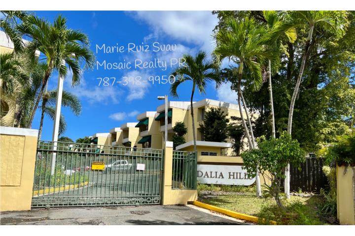 Dalia Hills Puerto Rico, Venta Bienes Raíces Bayamón Puerto Rico, Real ...