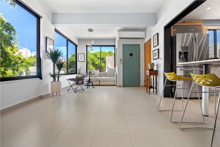 Luisa Puerto Rico, Venta Bienes Raíces San Juan - Condado-Miramar ...